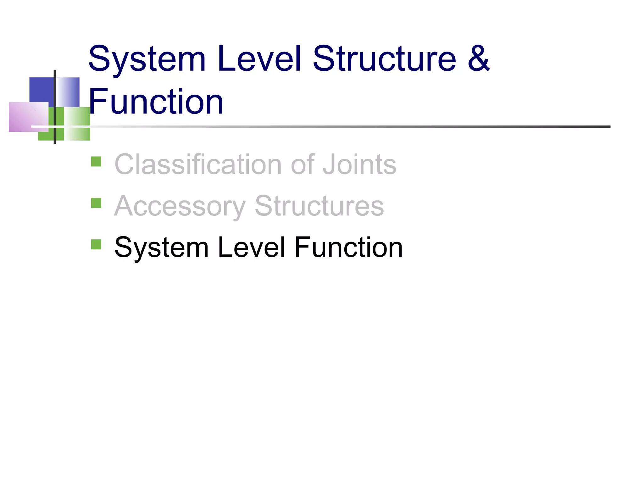 The skeletal system system level | PPT
