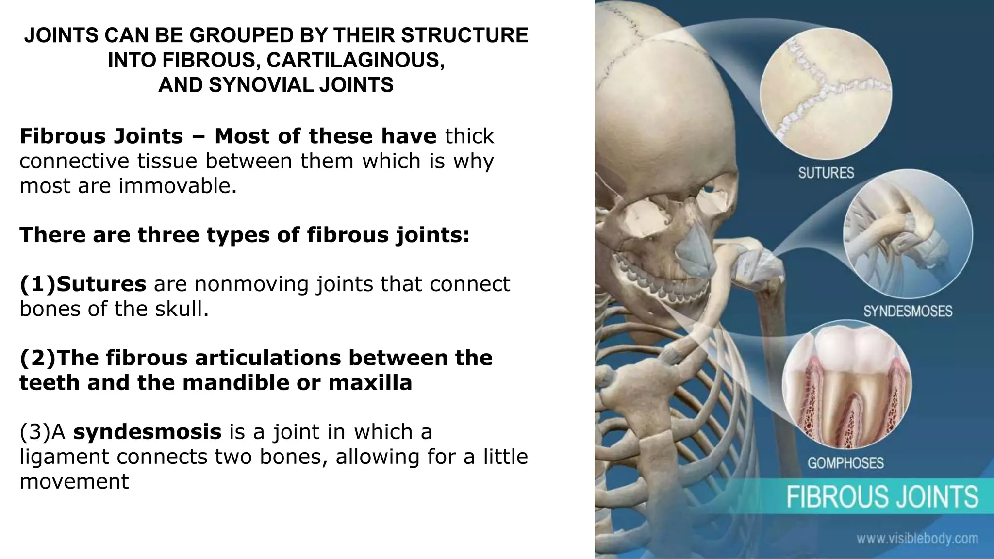 THE SKELETAL SYSTEM (ANATOMY).pptx