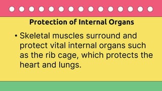 The Skeletal System Education Presentation in Green Yellow Simple ...