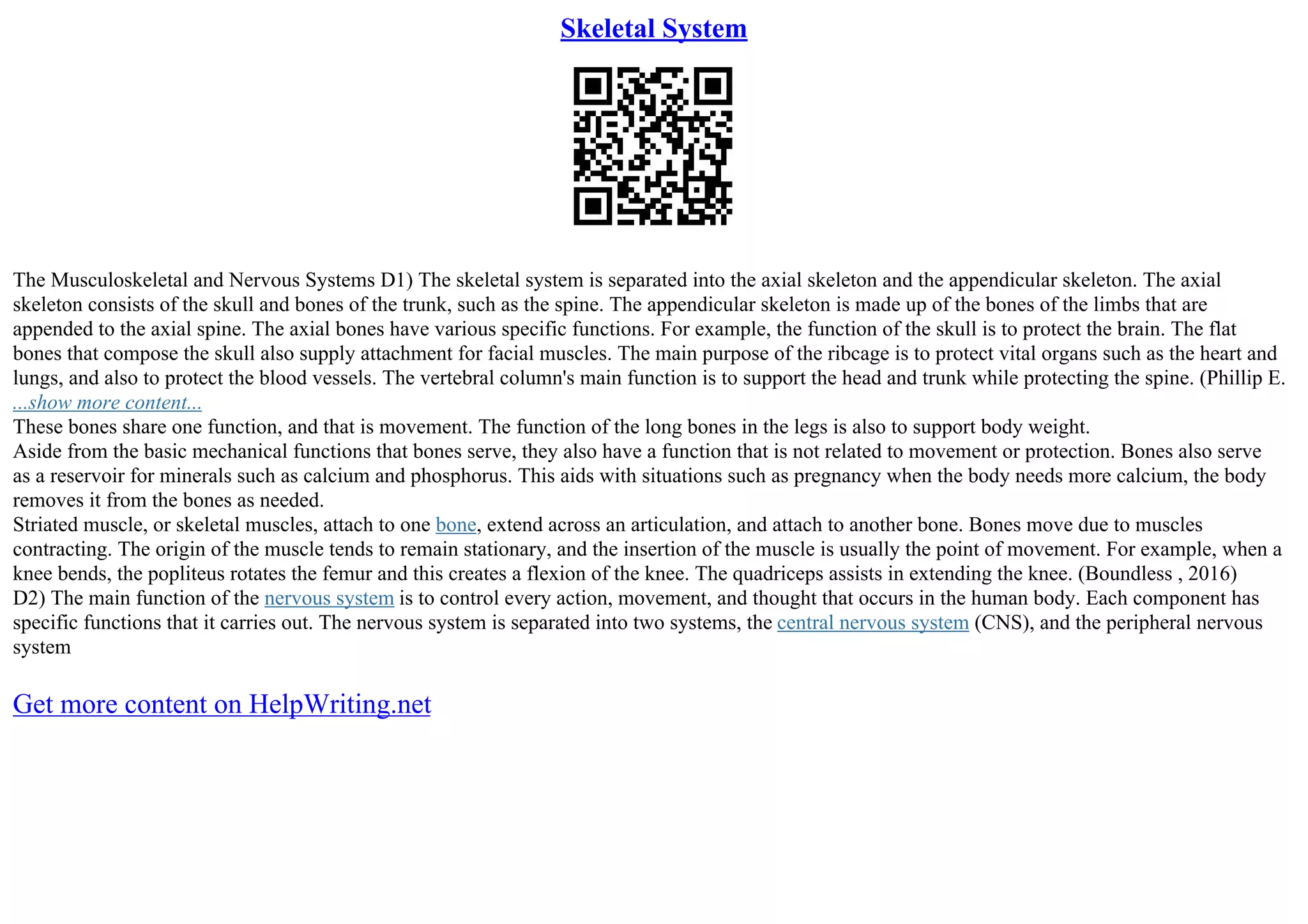 The Skeletal System Essay | PDF