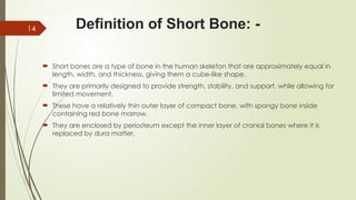 The Skeletal System Part 1 General Anatomy | PPTX
