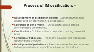 The Skeletal System Part 1 General Anatomy | PPTX