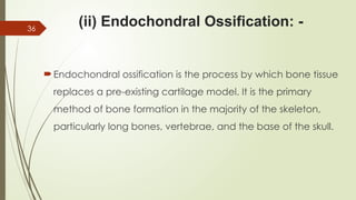 The Skeletal System Part 1 General Anatomy | PPTX