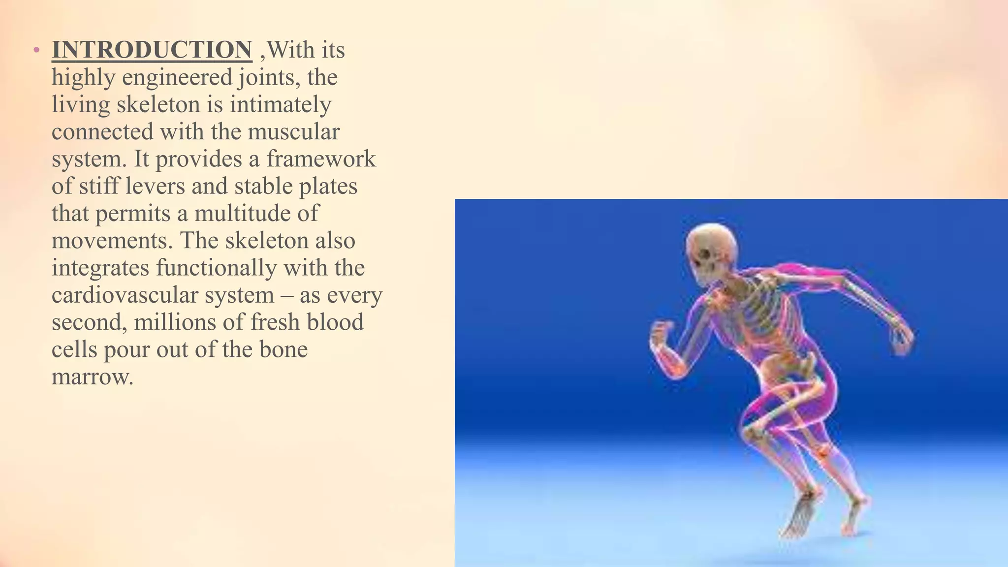 THE SKELETAL SYSTEM ppt.pptx