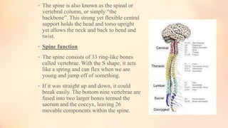 THE SKELETAL SYSTEM ppt.pptx