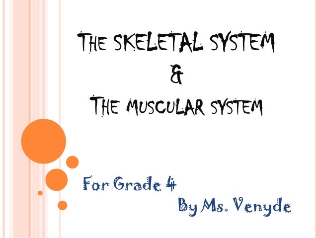 Muscular System Overview 5 Facts About Muscles Learn
