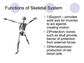 The Skeletal System (whole)2.ppt