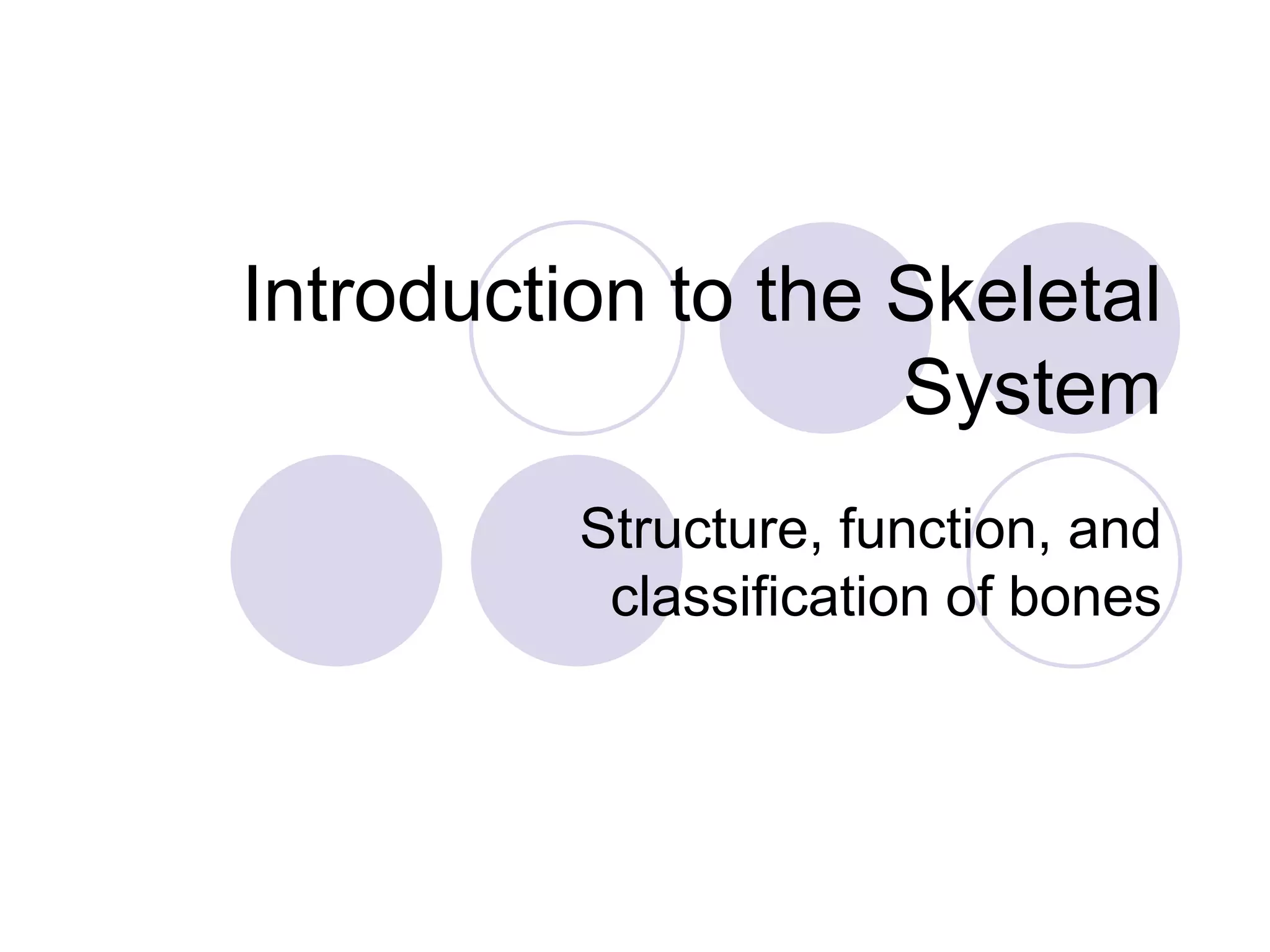 The Skeletal System (whole)2.ppt | Death, Injury, or Military Conflict ...