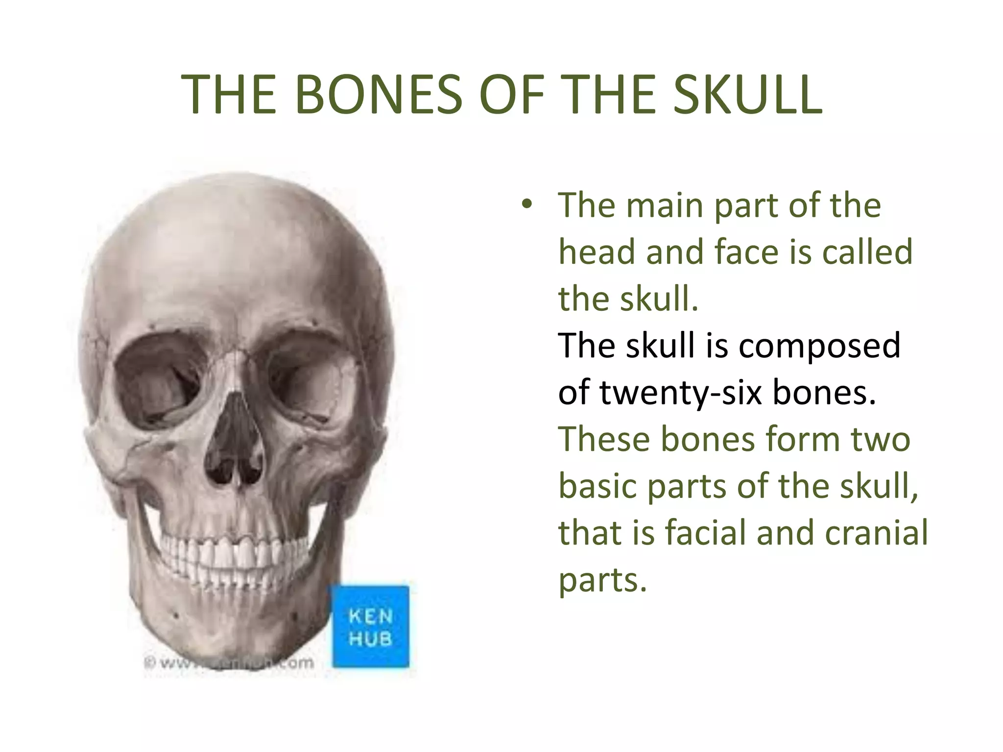 THE SKELETON OF THE HUMAN BODY.pdf