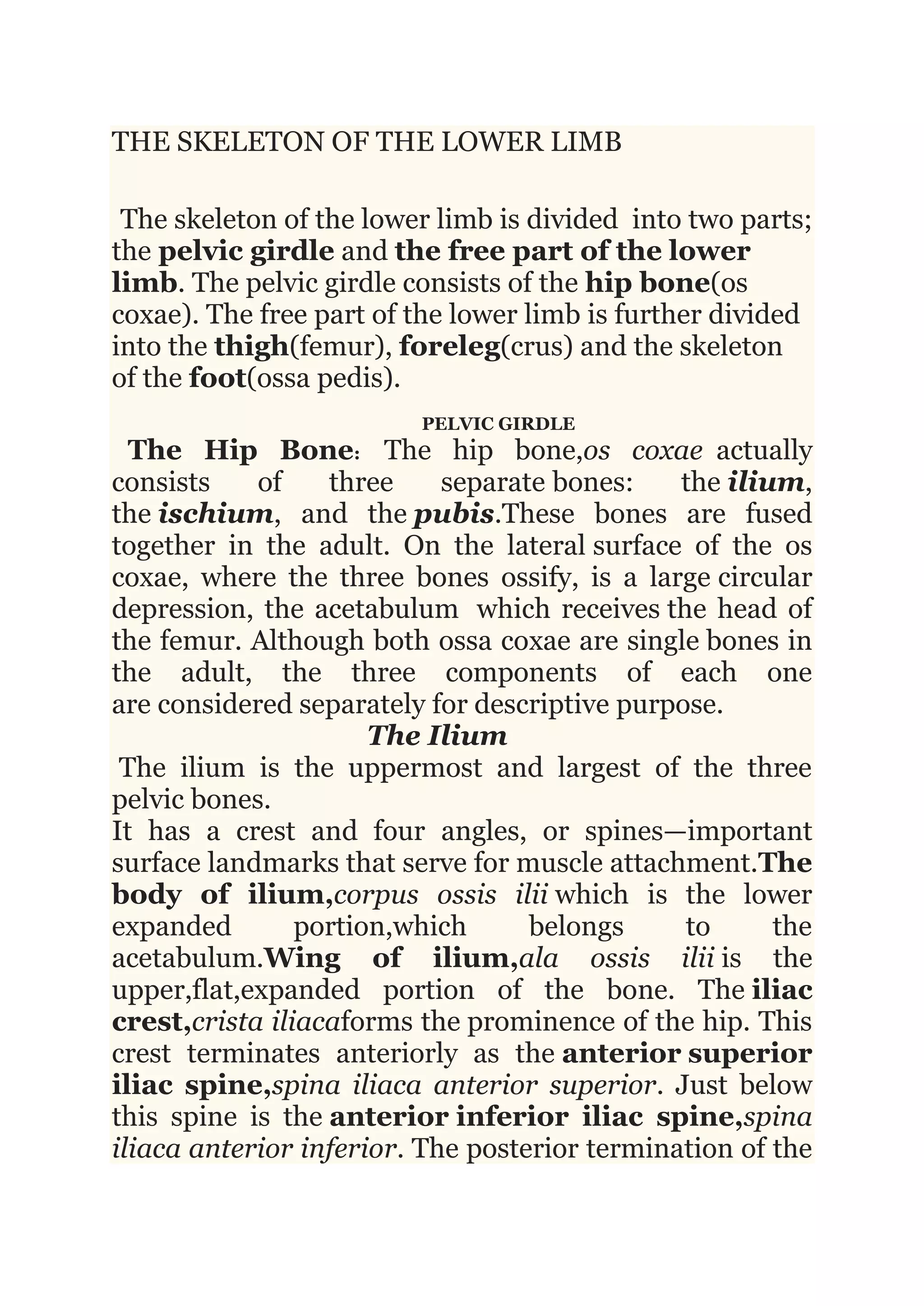 The skeleton of the lower limb | DOCX