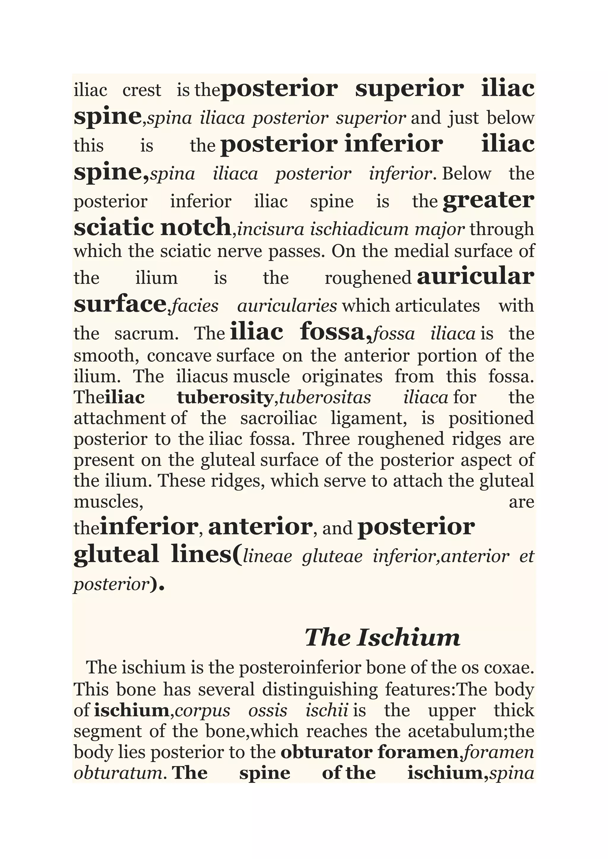 The skeleton of the lower limb | DOCX