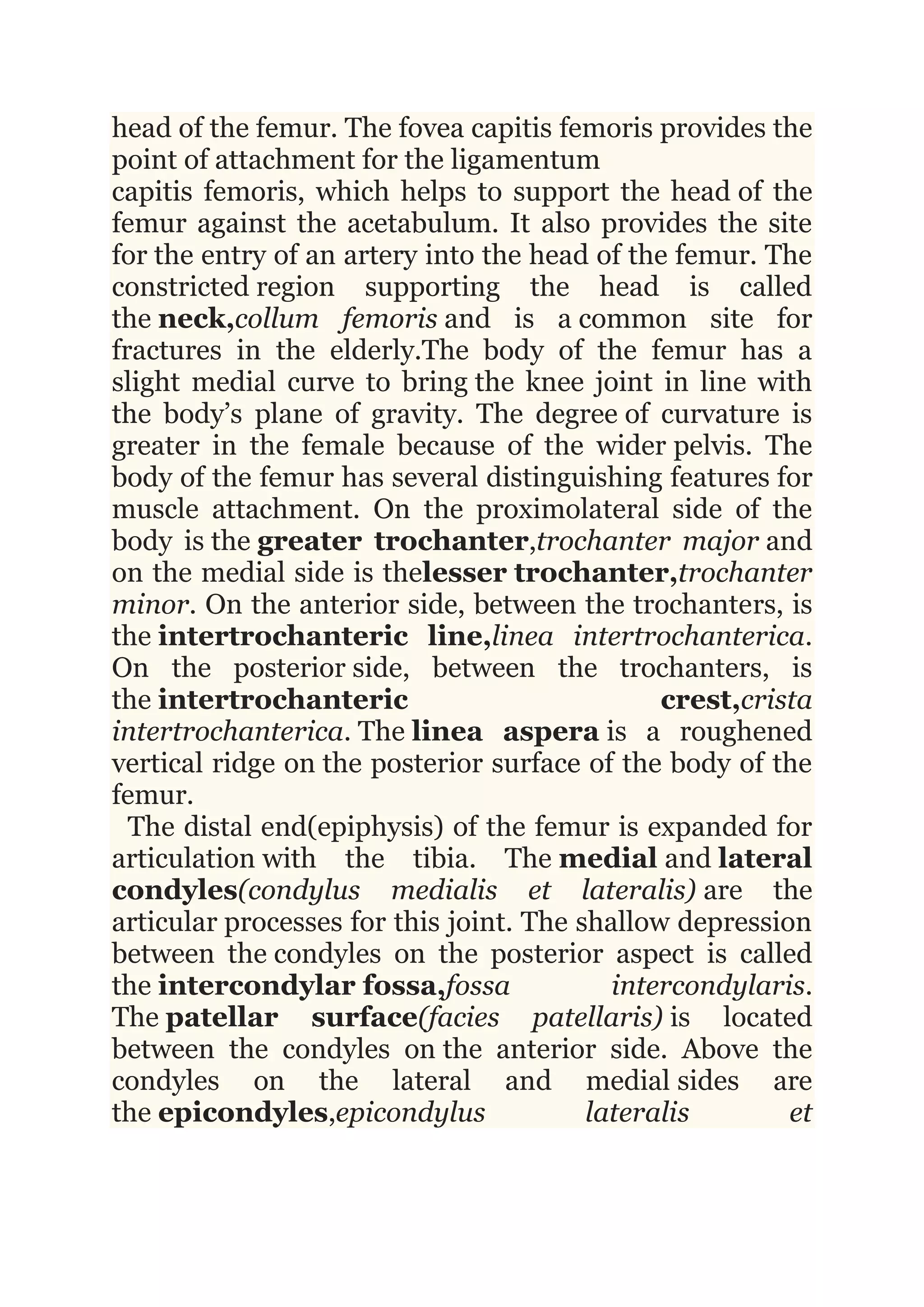 The skeleton of the lower limb | DOCX