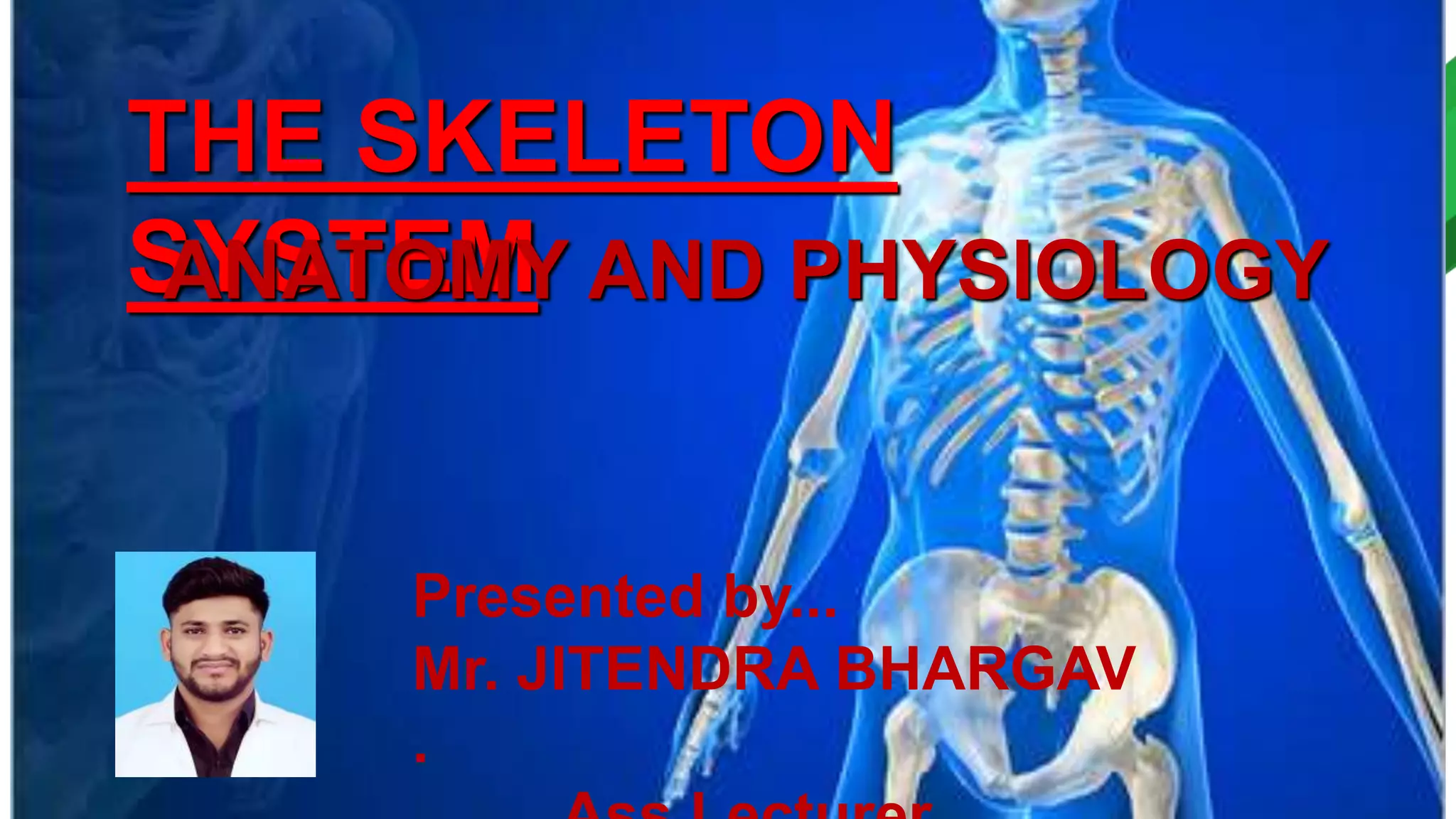 THE SKELETON SYSTEM ANATOMY AND PHYSIOLOGY SLIDESHARE | PPTX