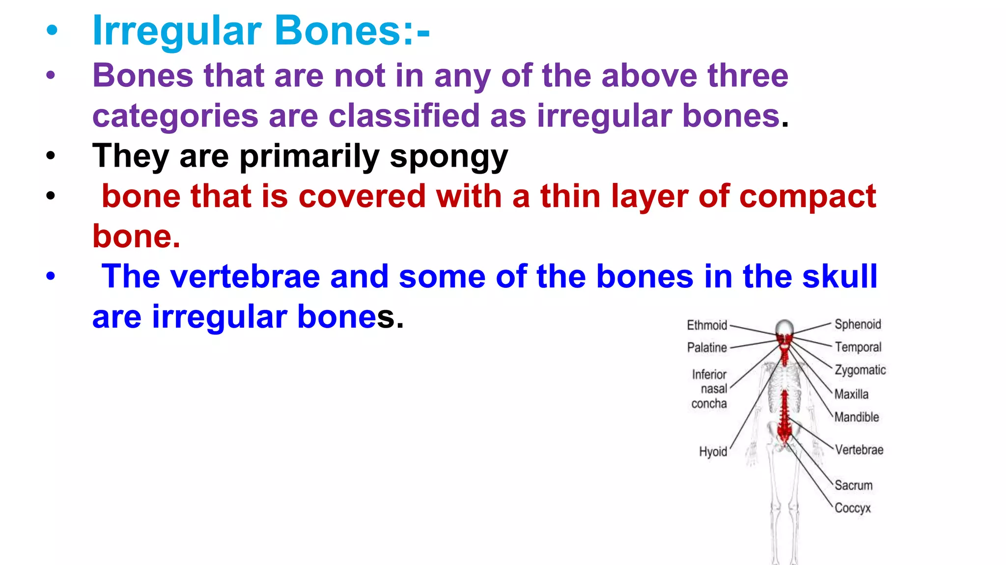 THE SKELETON SYSTEM ANATOMY AND PHYSIOLOGY SLIDESHARE | PPTX