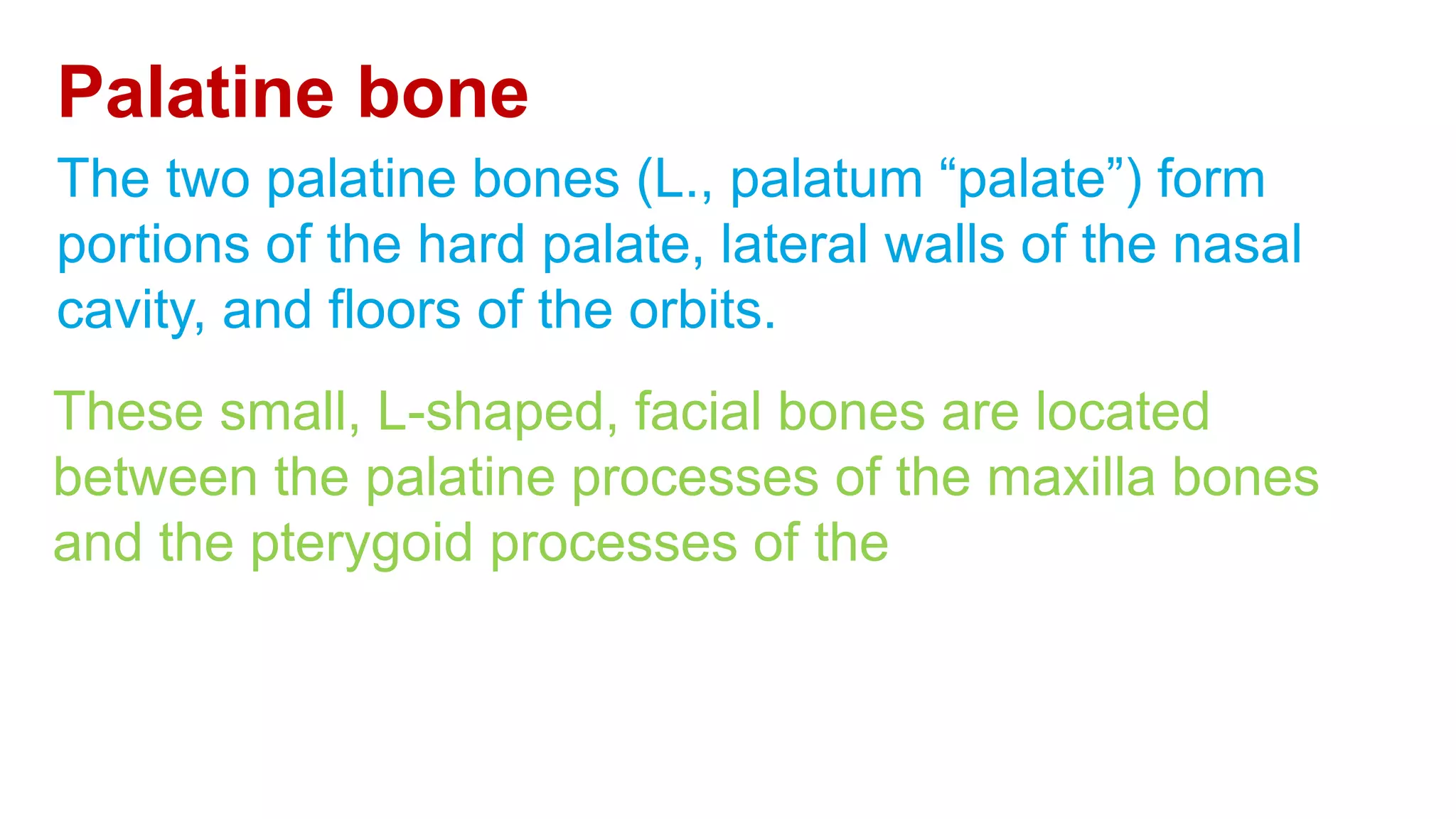 THE SKELETON SYSTEM ANATOMY AND PHYSIOLOGY SLIDESHARE | PPTX