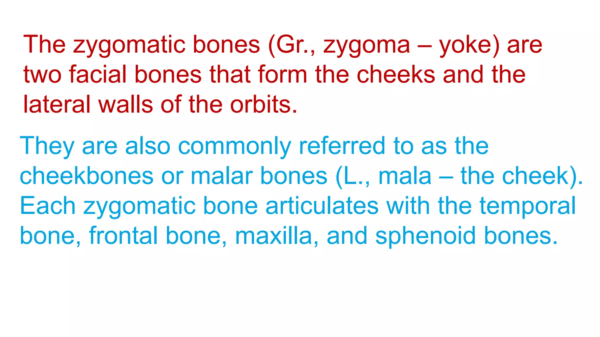 THE SKELETON SYSTEM ANATOMY AND PHYSIOLOGY SLIDESHARE | PPTX