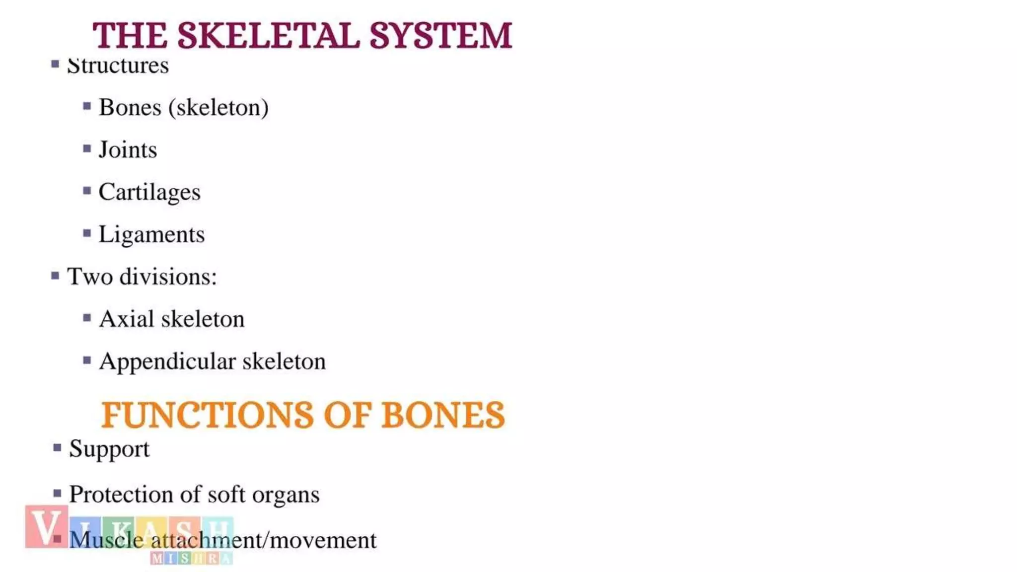 THE SKELETON SYSTEM ANATOMY AND PHYSIOLOGY SLIDESHARE | PPTX