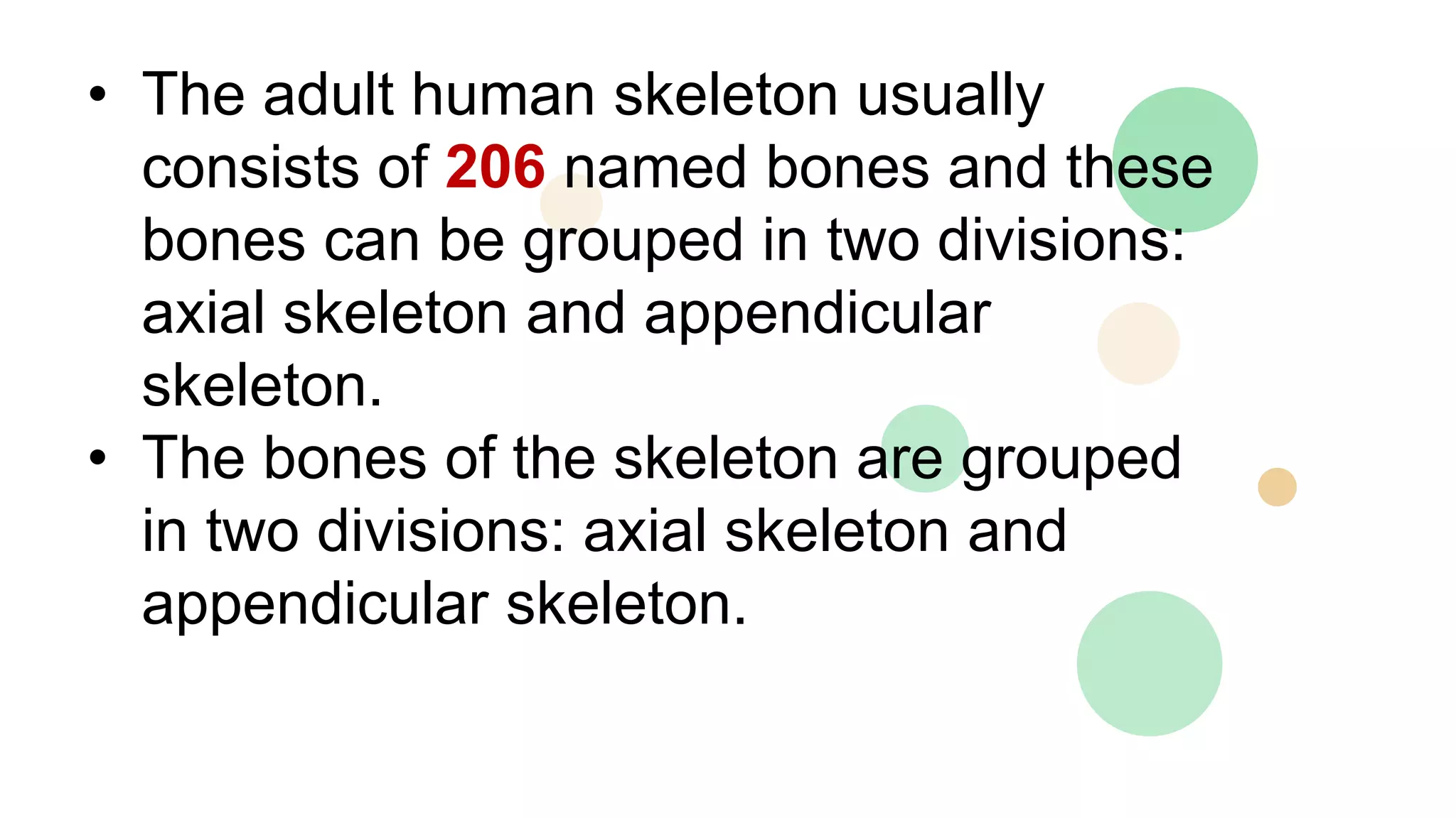 THE SKELETON SYSTEM ANATOMY AND PHYSIOLOGY SLIDESHARE | PPTX