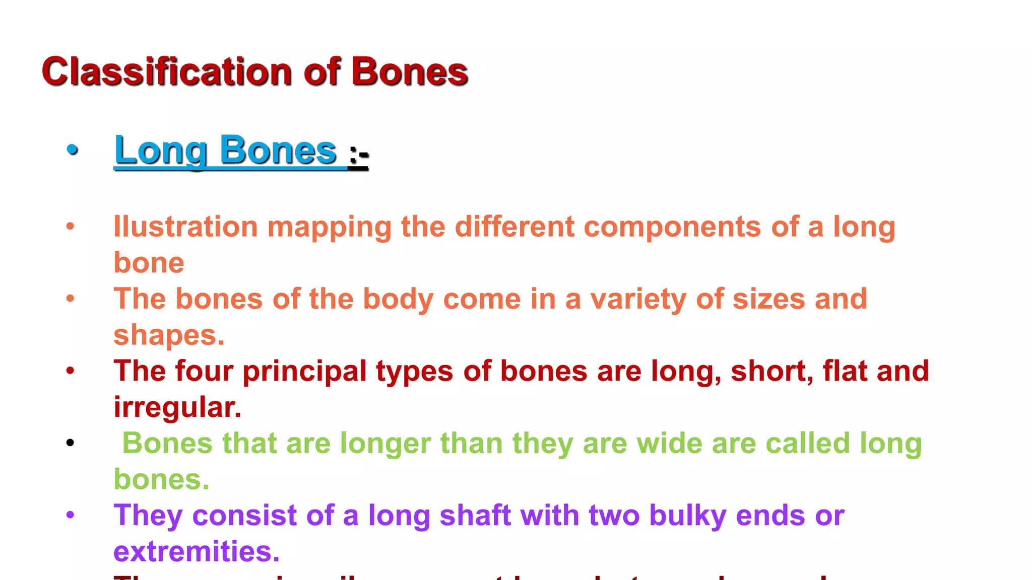 THE SKELETON SYSTEM ANATOMY AND PHYSIOLOGY SLIDESHARE | PPTX