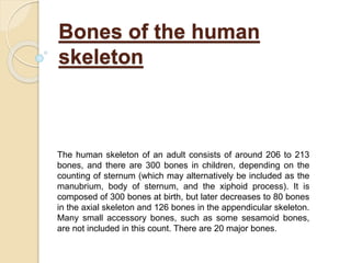 The skeleton system overview | PPTX