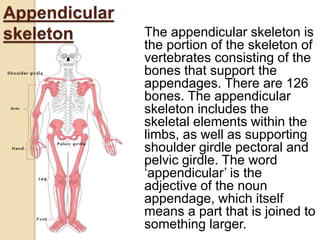 The skeleton system overview | PPTX
