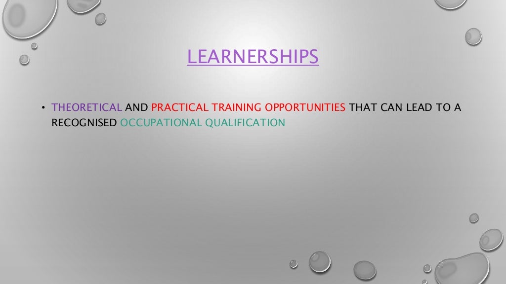 The Skills Development Act the-skills-development-act