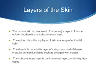 The skin | PPTX