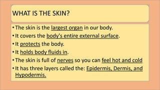 THE SKIN.pptx
