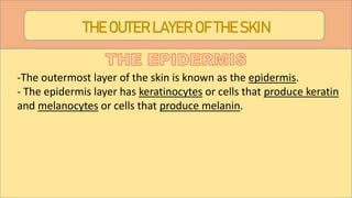 THE SKIN.pptx