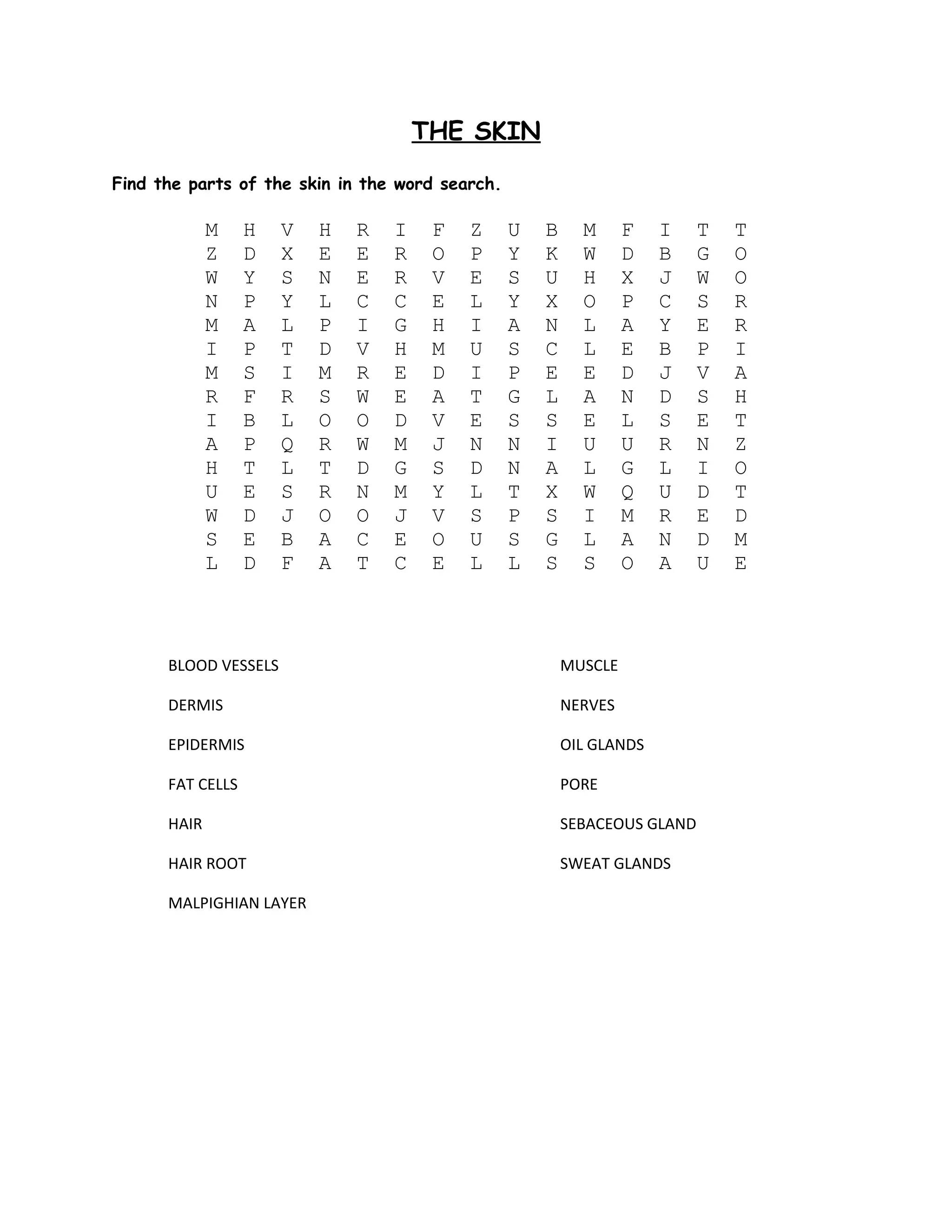The skin word search | DOC