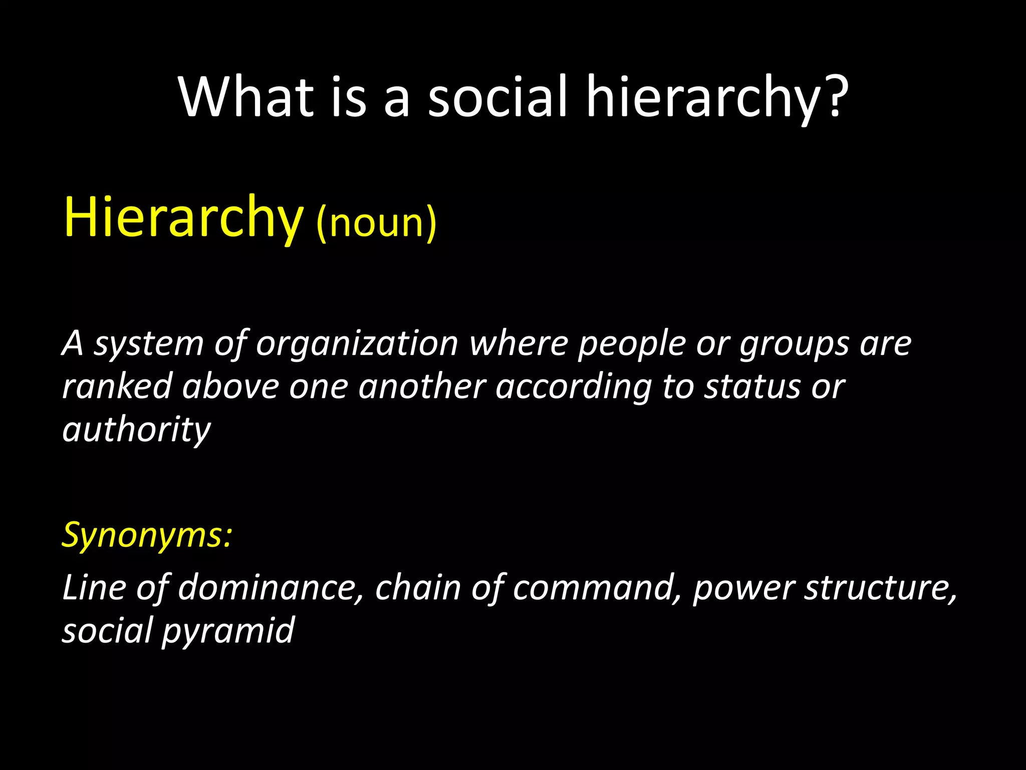 'The Skin I'm In' (Sharon G Flake) social hierarchy and values lesson ...
