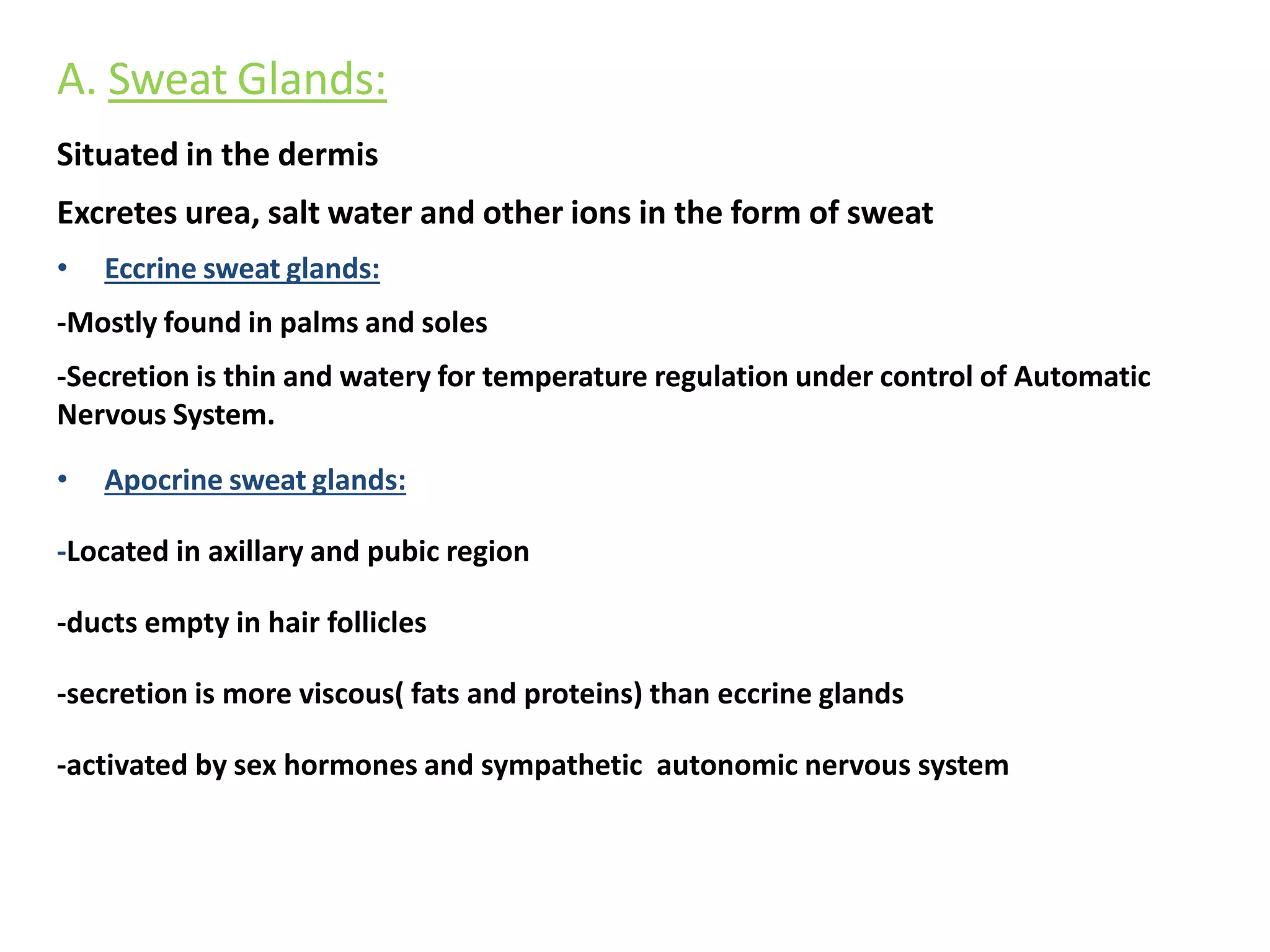 The skin & integumentary system. ppt | PDF