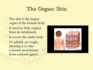 The skin presentation | PPT