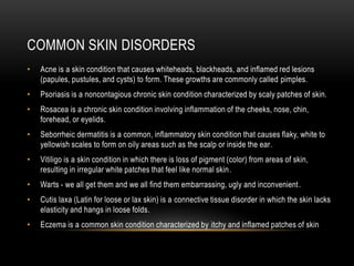 The skin senses | PPTX
