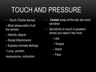 The skin senses | PPTX