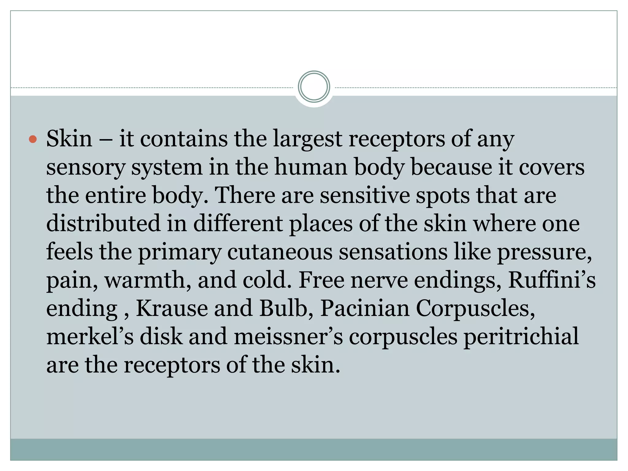 The Skin Senses (Its Parts and Sensory Functions) | PPTX