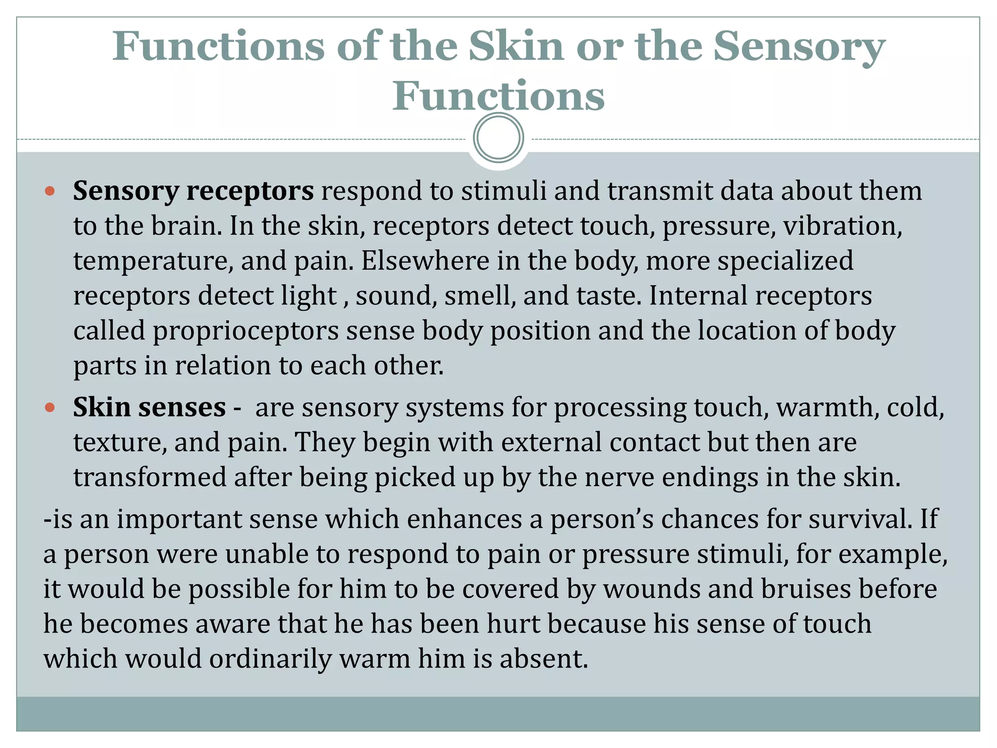 The Skin Senses (Its Parts and Sensory Functions) | PPTX