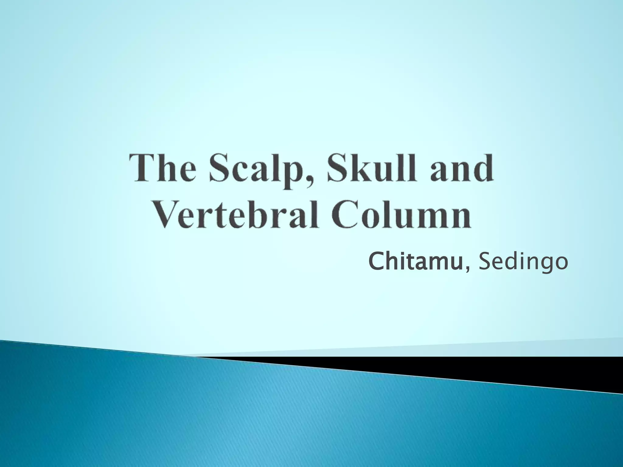 The Skull and Vertebral column | PPT