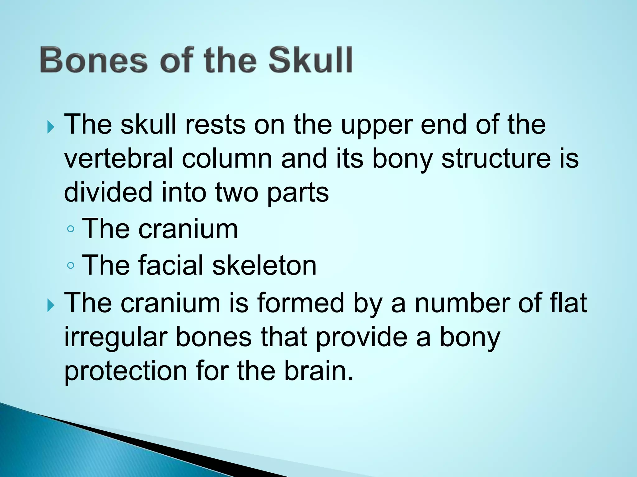 The Skull and Vertebral column | PPT