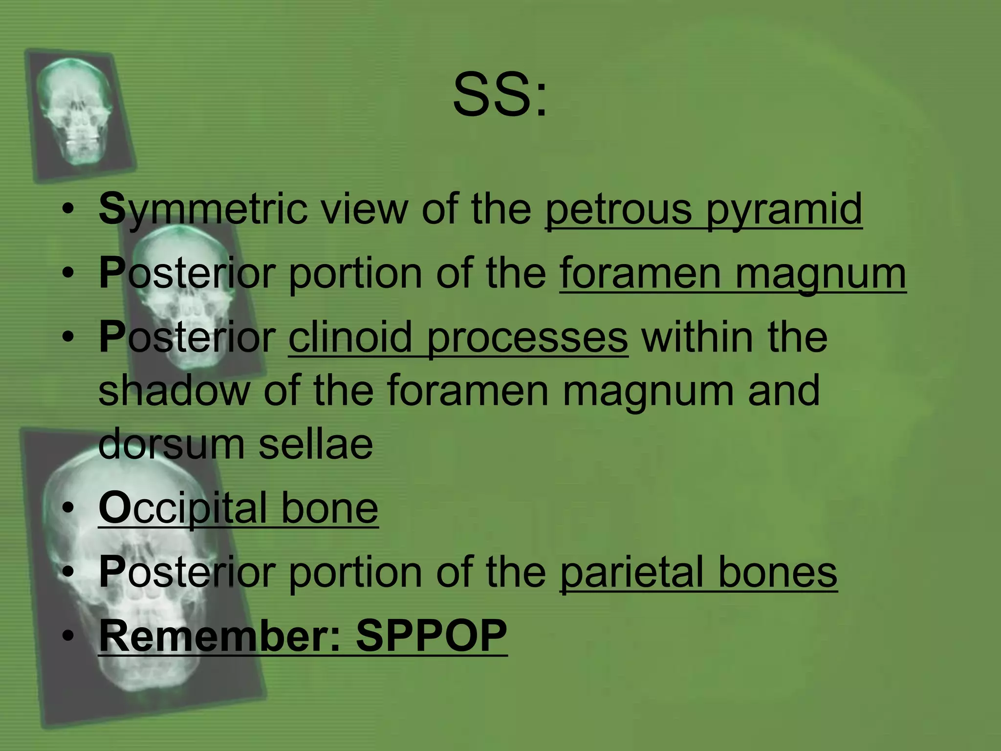 SKULL: Radiologic Positioning (Non-contrast) | PPTX