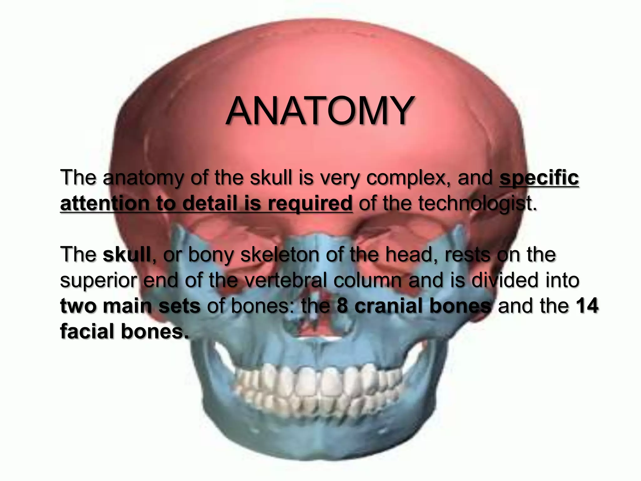 SKULL: Radiologic Positioning (Non-contrast) | PPTX