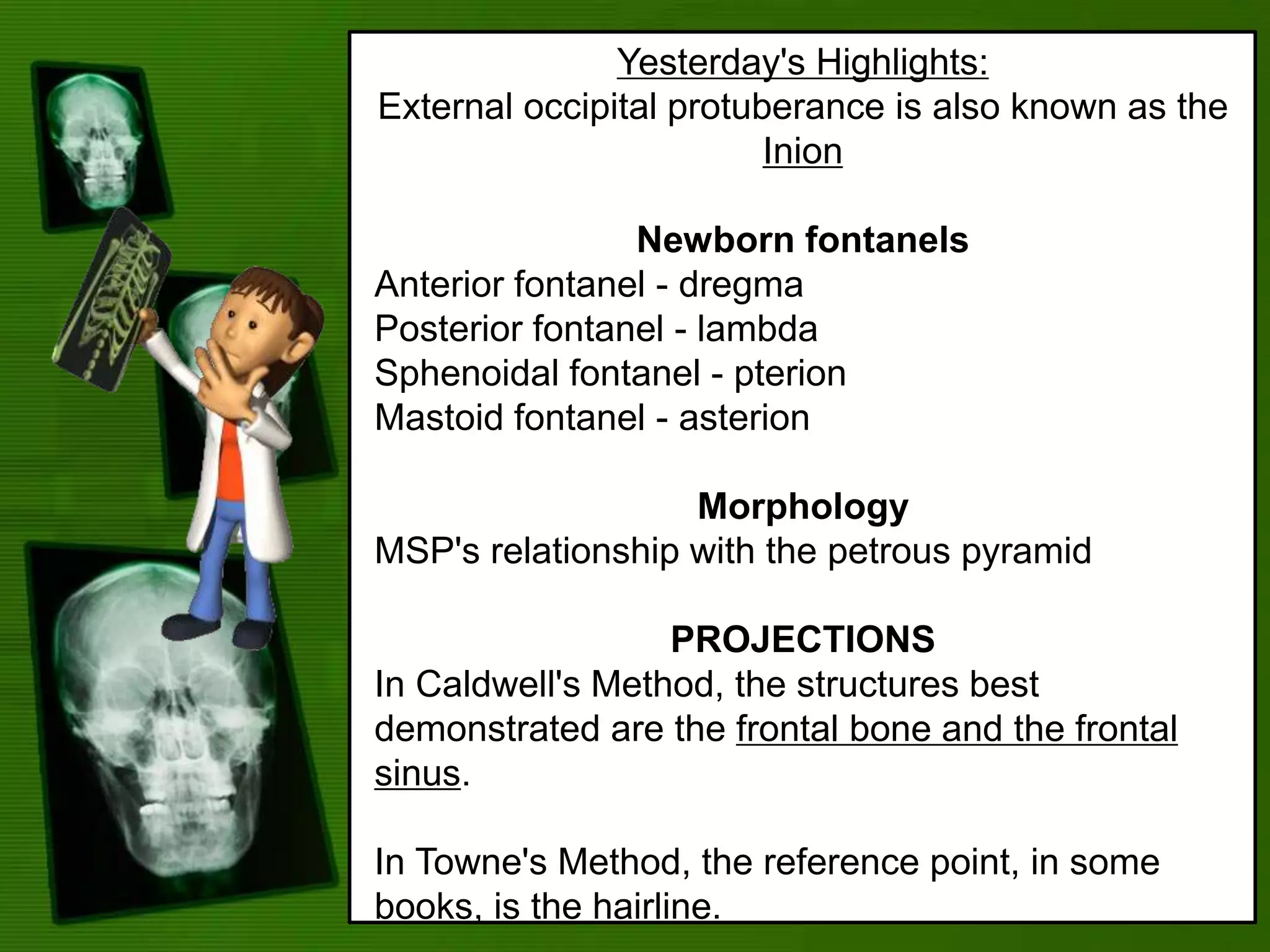 SKULL: Radiologic Positioning (Non-contrast) | PPTX