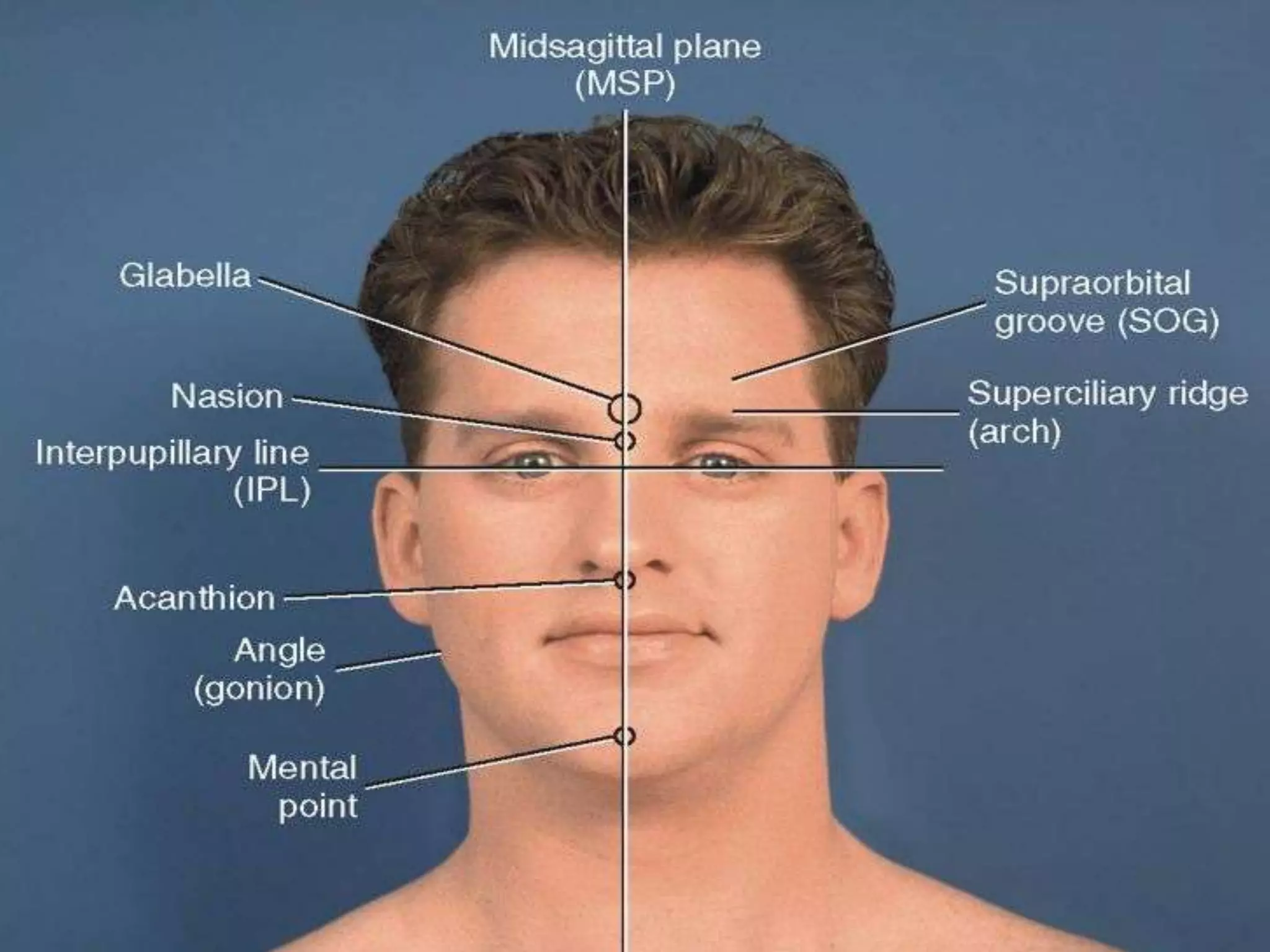 SKULL: Radiologic Positioning (Non-contrast) | PPTX
