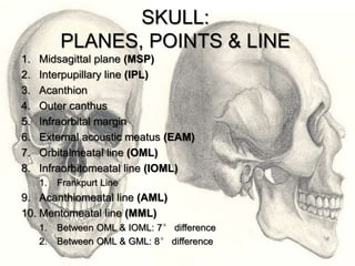 SKULL: Radiologic Positioning (Non-contrast) | PPTX