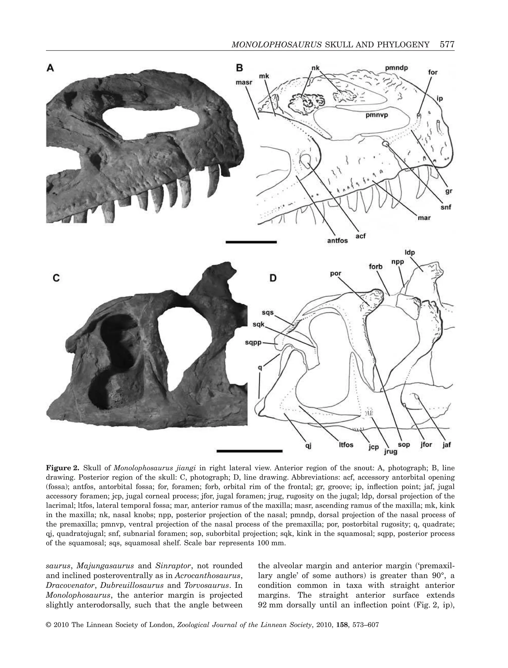 The_skull_of_Monolophosaurus_jiangi_Dino.pdf