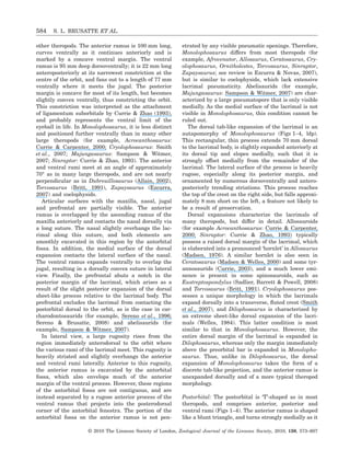 The_skull_of_Monolophosaurus_jiangi_Dino.pdf