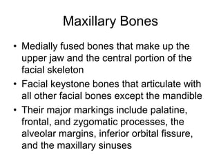 the_skull_revised human anatomy ......ppt