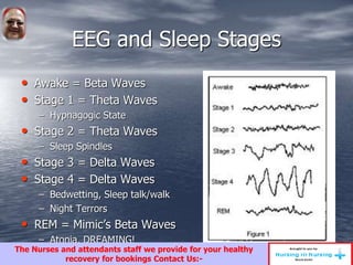 The sleep cycle | PPTX