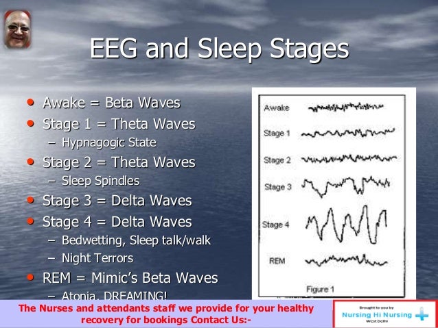 The sleep cycle
