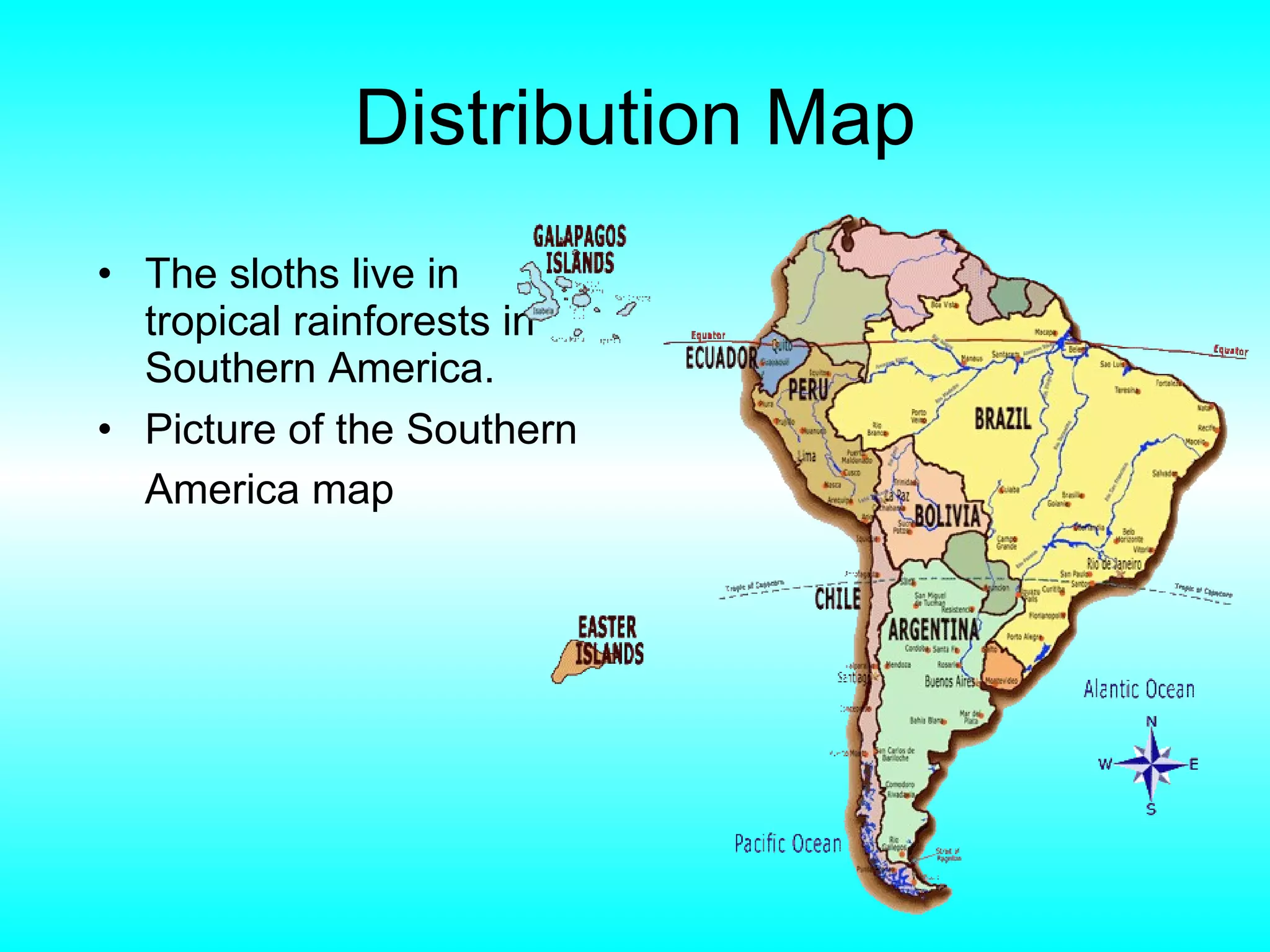 The slowest animal in the world sloths! | PPT
